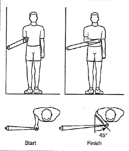 Shoulder Conditioning Exercises | West Idaho Orthopedics